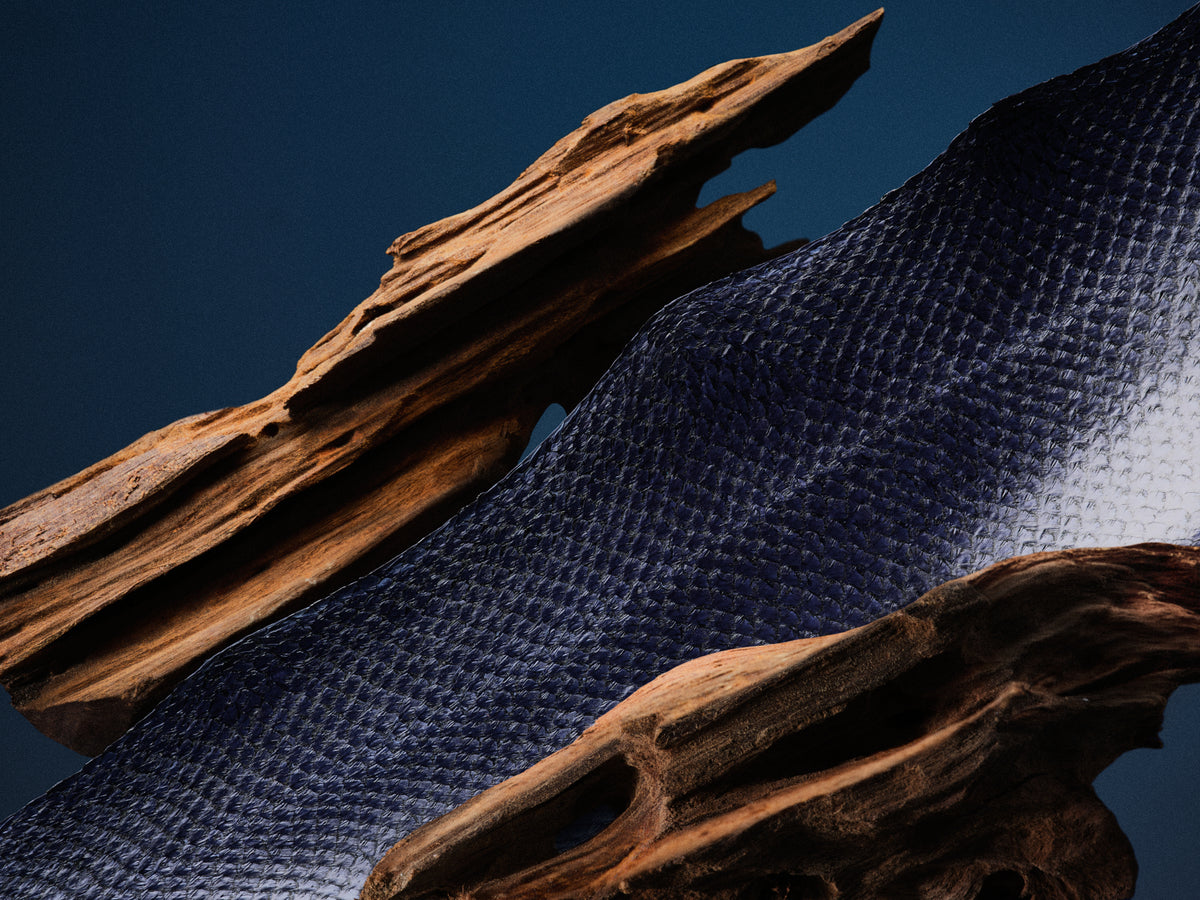 SQUAMA® BRUT – ICTYOS