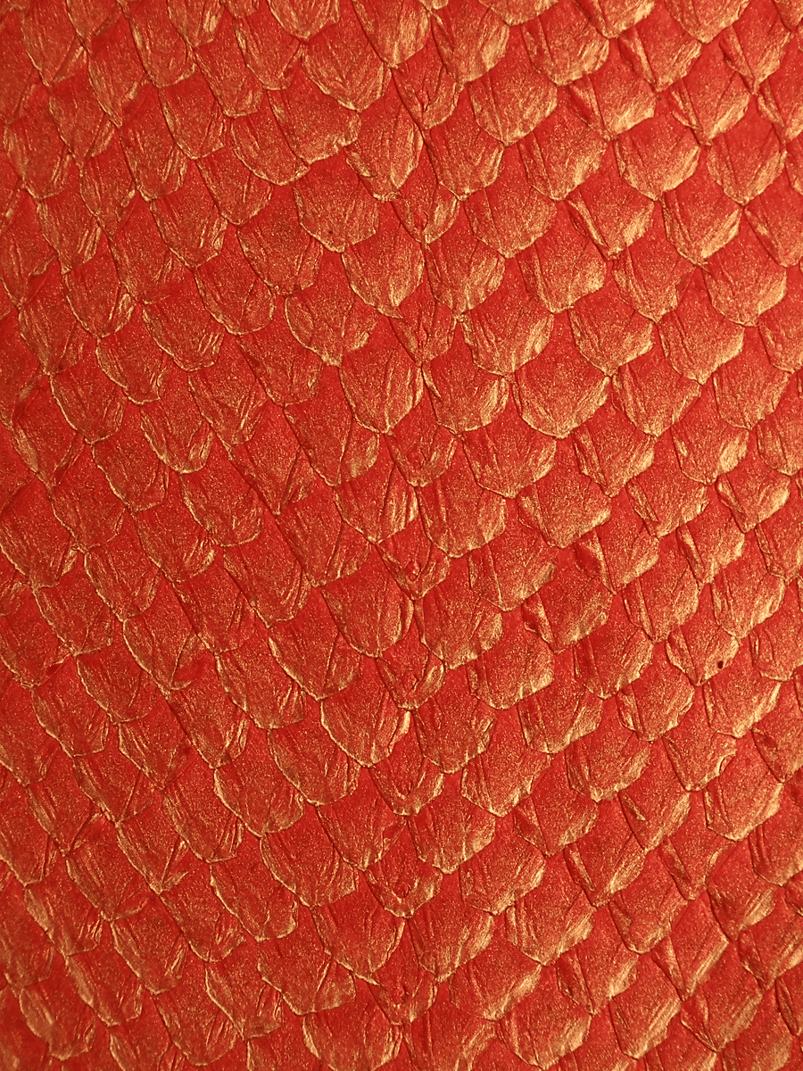 SQUAMA® DÉGRADÉ Rouge Impérial – ICTYOS