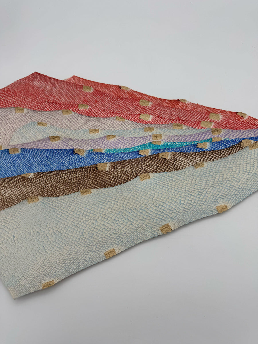 PACK de 10 SQUAMA DÉGRADÉ Multicolore #2 - Taille Large - Choix 1 – ICTYOS