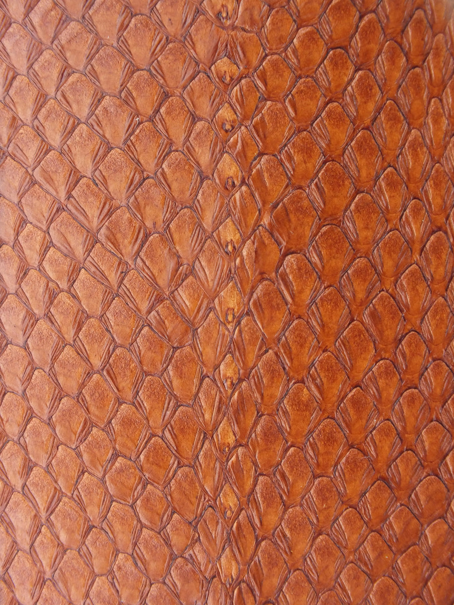 SQUAMA® BRILLANT Brun Authentique – ICTYOS