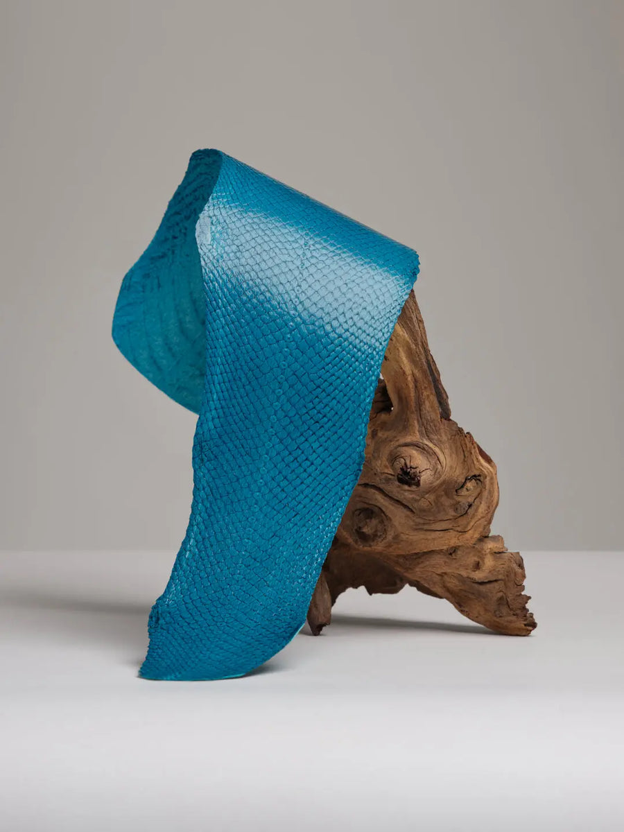 SQUAMA® BRILLANT Turquoise – ICTYOS