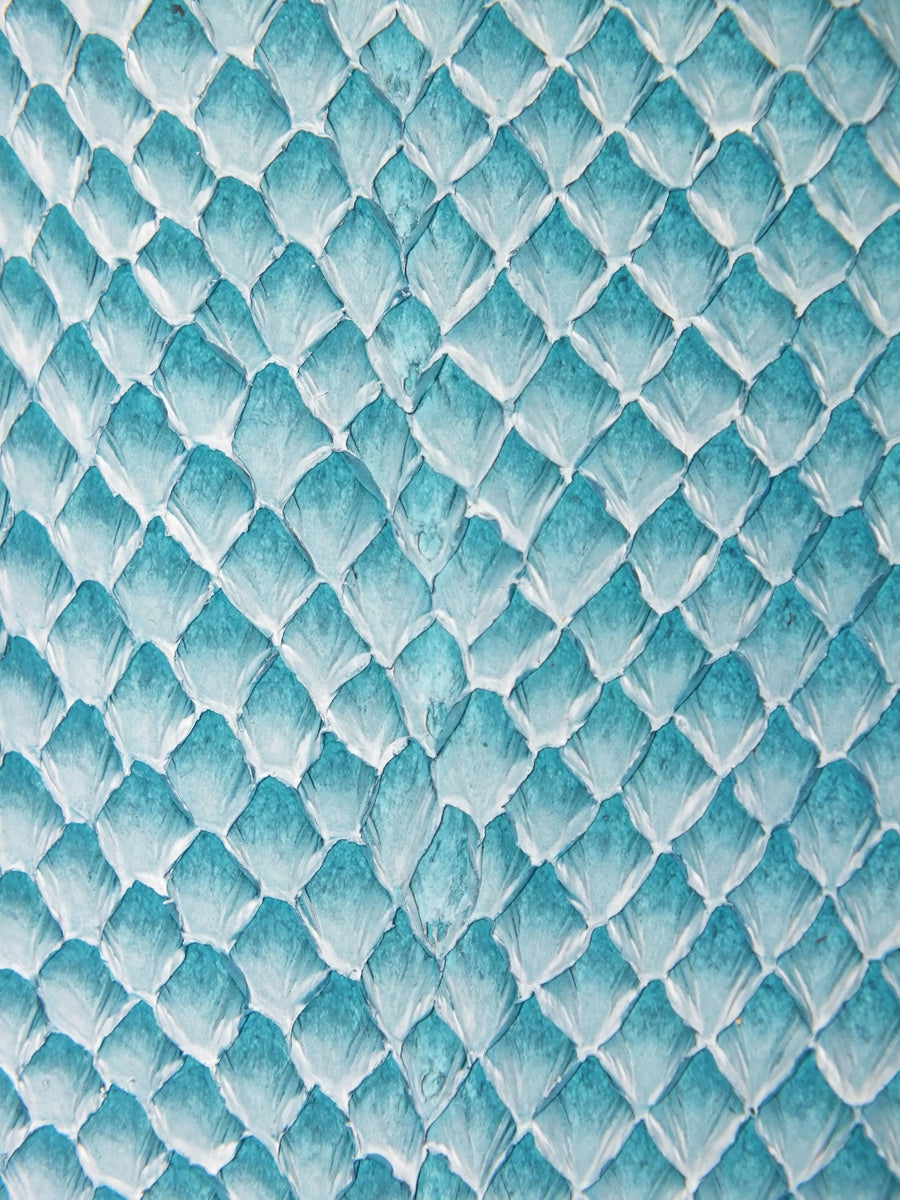 SQUAMA® DÉGRADÉ Atlantide – ICTYOS