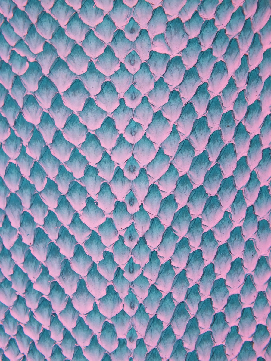 SQUAMA® DÉGRADÉ Rosée – ICTYOS