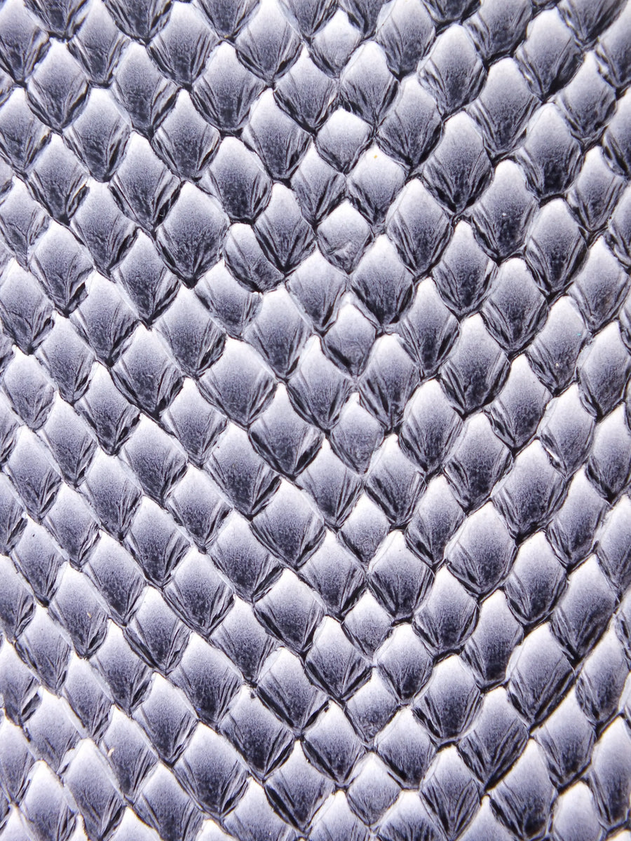 SQUAMA® DÉGRADÉ Zebra – ICTYOS